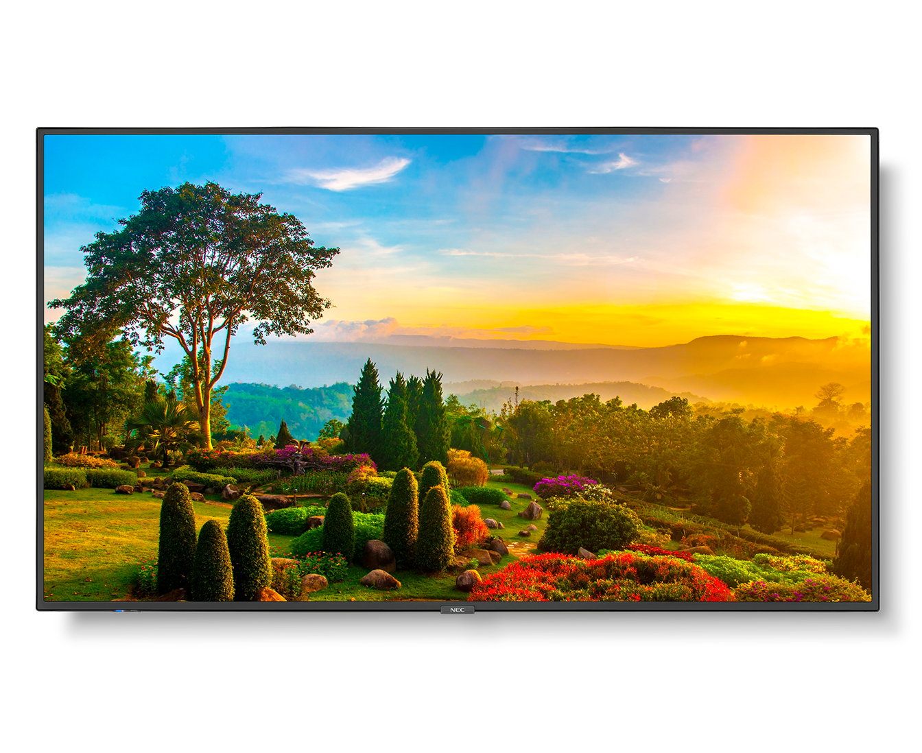 Sharp Electronics | Canada