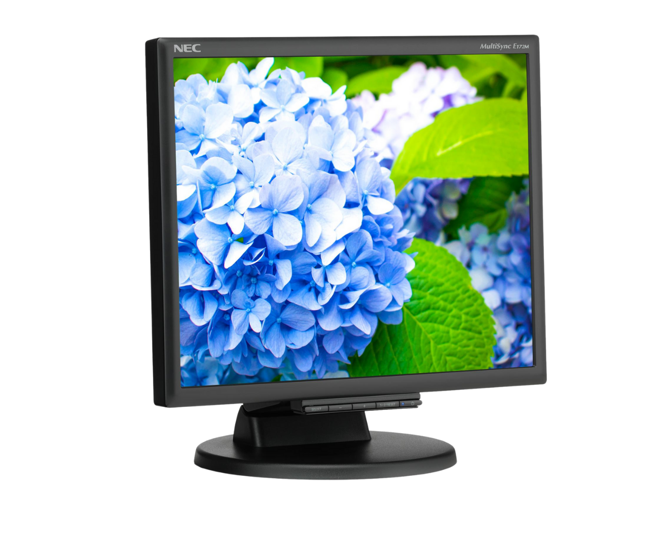 E172M-BK Monitor | Desktop Monitor for Work