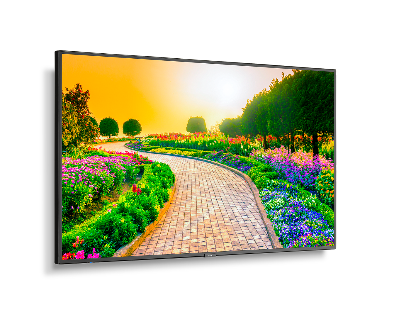 Sharp M431 43" 4K UHD Professional Display | Sharp Canada