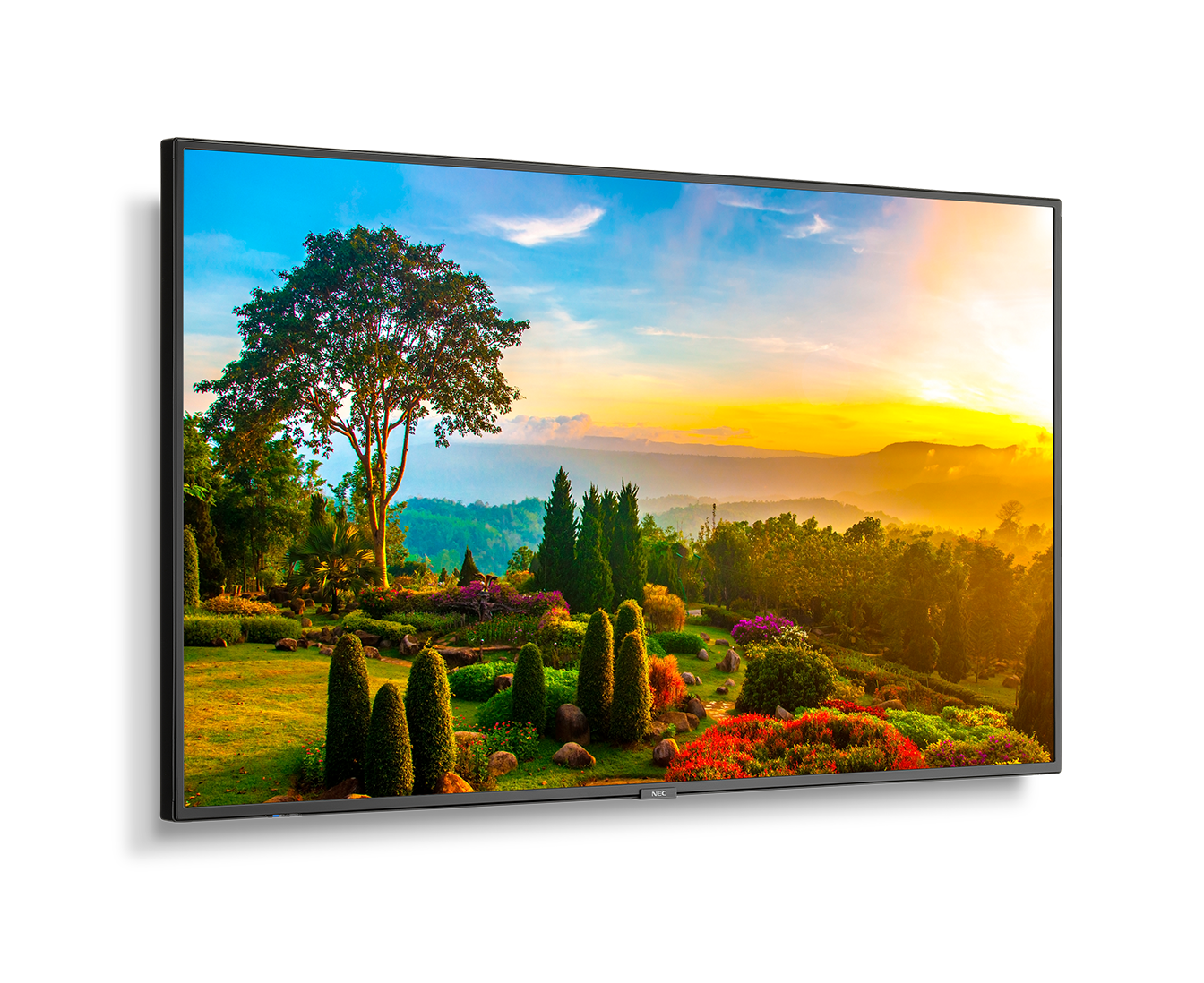 Sharp Electronics | Canada
