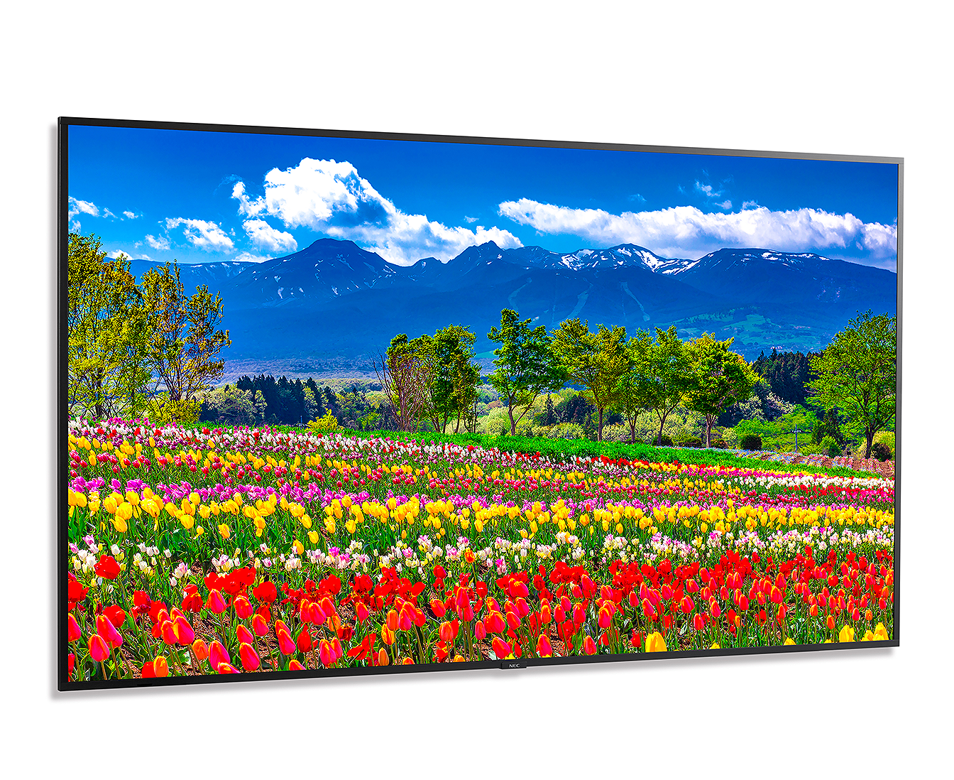 Sharp Electronics | Canada