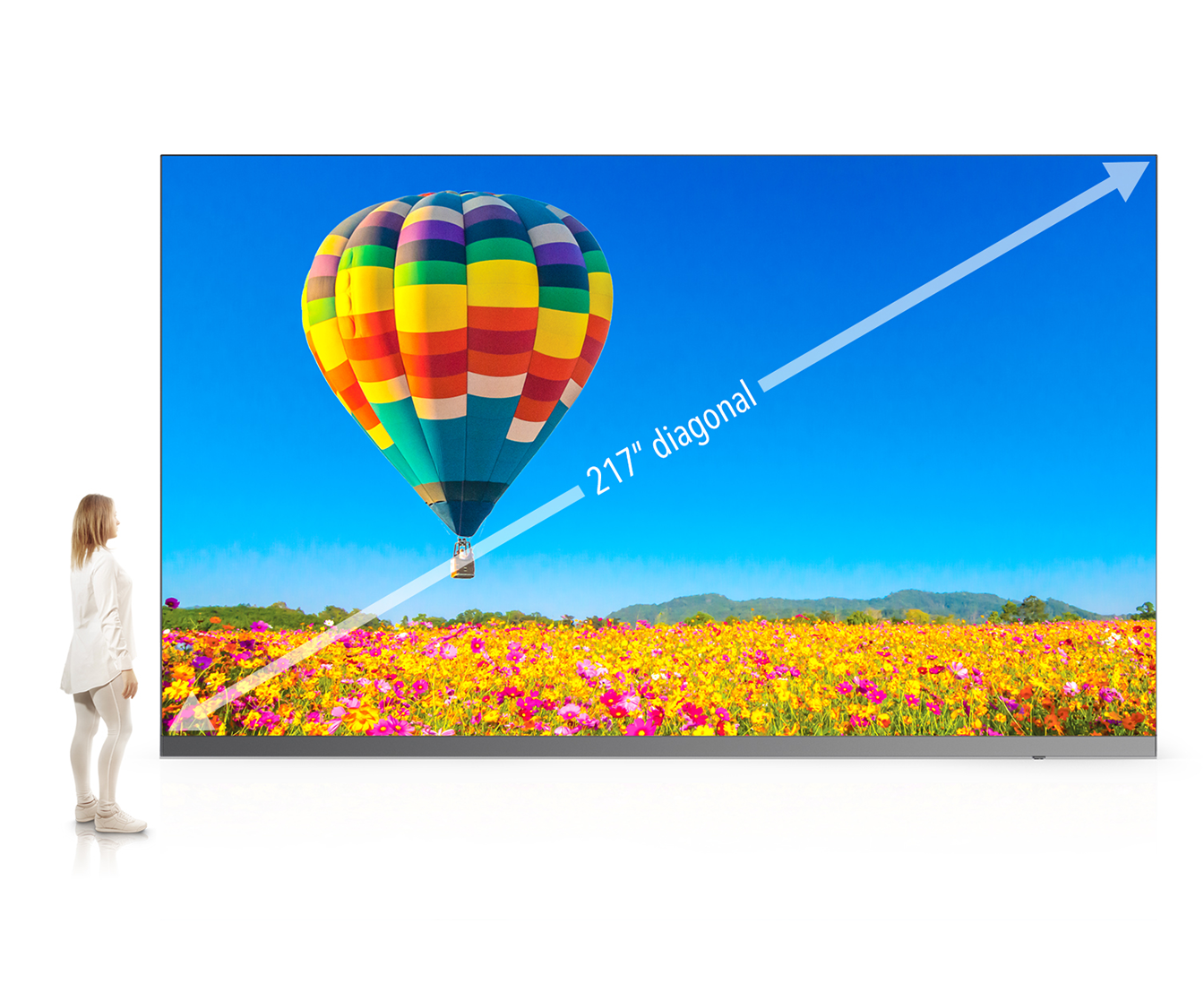 Sharp 217-inch Ultra HD dvLED Display (LED-E012I-217)